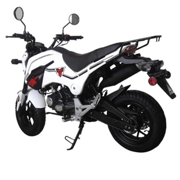 Tao Motor Hellcat 125 Mini Motorcycle | 4-speed manual - 161 Powersports