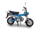 125cc Icebear Champion PBZ125-2 – Electric/kick Start Mini Bike
