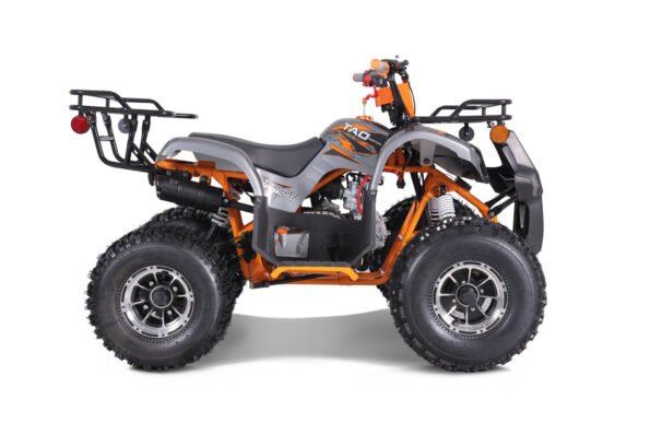 New Tao Motor T-FORCE PLATINUM 120cc ATV - 161 Powersports