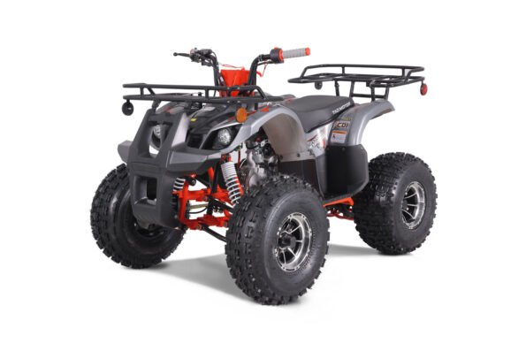 New Tao Motor T-FORCE PLATINUM 120cc ATV - 161 Powersports