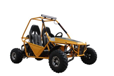 Vitacci Batman 200CC Deluxe Go Kart - 161 Powersports